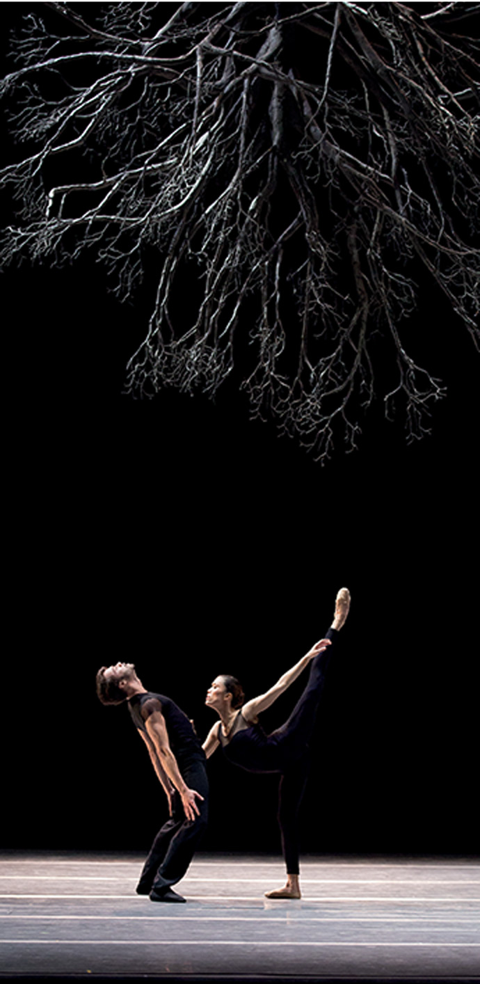 Boston Ballet - Muse Art Foundation